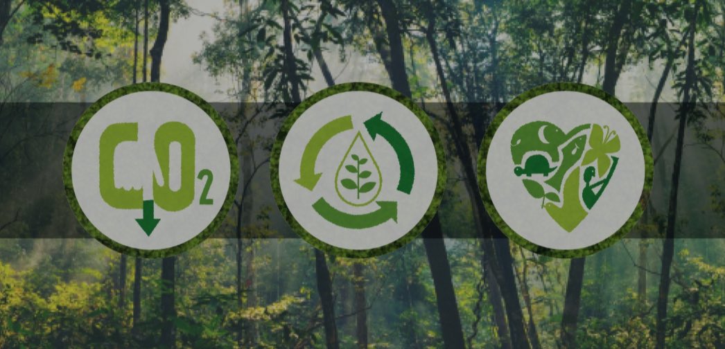 Bridgestone marca el rumbo hacia la sostenibilidad